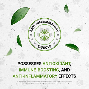 Lion's Respiratory | Natural Herbal Dietary Supplement for Cats | Healthy Respiratory System Support in Cats | Alcohol-Free Extract, Coltsfoot, Licorice, Lobelia, Echinacea Root, Mullein Leaf 2 oz