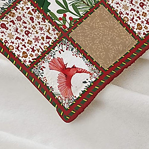 I'm with You Northern Cardinal Christmas Blanket,Red Throw Blanket for Couch,Weighted Soft Fleece Blanket,Christmas Decorations Pets (40"X30")