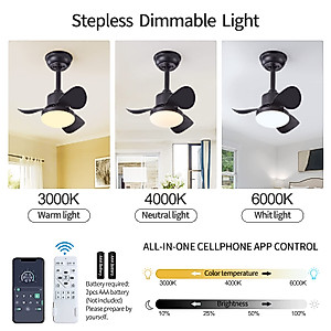 EMIKIRII Ceiling Fan with Lights and Remote,21'' Small Modern Ceiling Fan,Smart APP Control,Dimmable Metal Blades Flush Mount Quiet Mini Ceiling Fans Lights for Kitchen Dining Room Bedroom