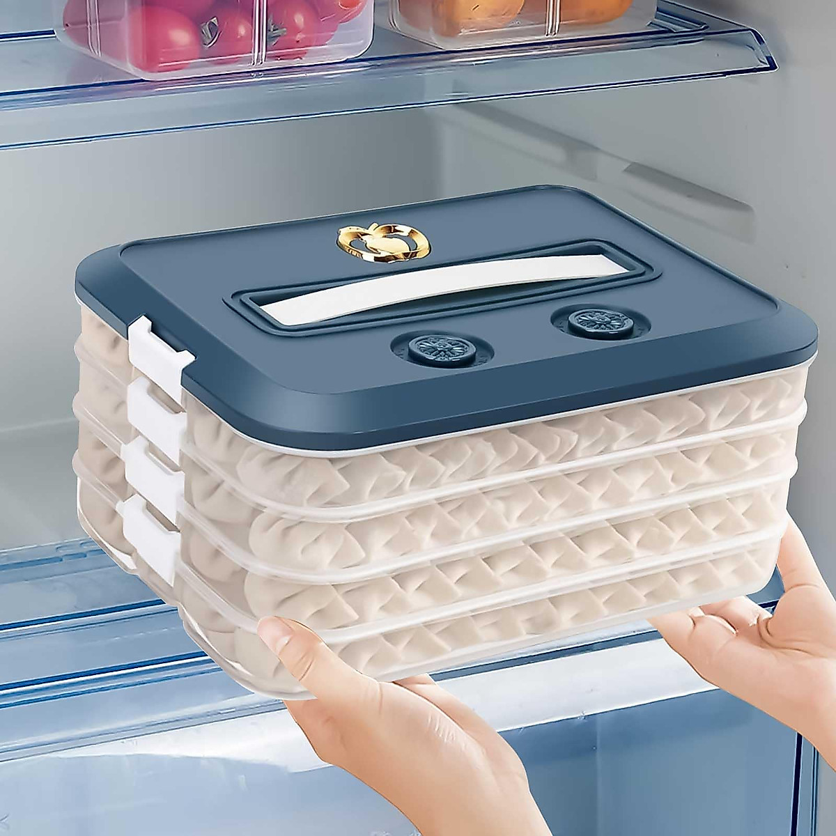 TOWEBOORY 4-Layer Dumpling Box,Food Storage Containers with Lids,Stackable Cookie Carrier with Lid and Handle,Cookie Storage Containers Airtight,Time Recoder