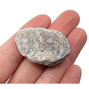 6PK Raw Quartzite, Metamorphic Rock Specimens - Approx. 1" - Geologist Selected & Hand Processed - Great for Science Classrooms - Class Pack - Eisco Labs