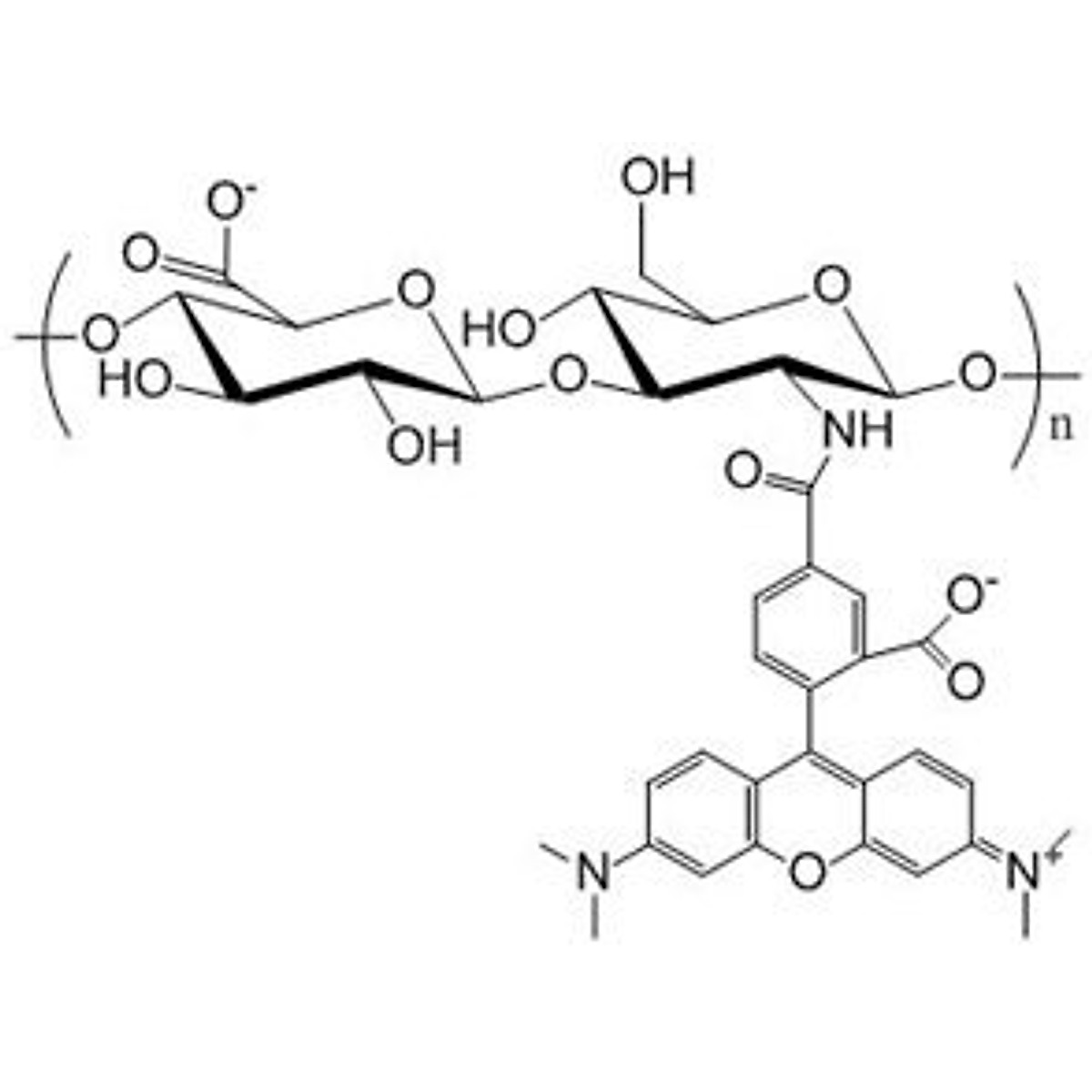 Hyaluronate-Rhodamine, MW 2,500kDa (50mg)