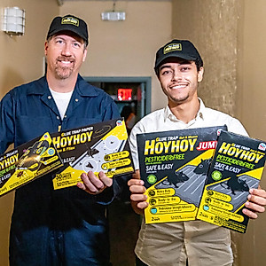 HOY HOY Rat & Mouse Jumbo Size Glue Trap 6 Traps [3-Pack] - Heavy-Duty Professional Strength Ready-to-Use Rodent Pest Control, Great for Home with Kids & Pets Indoor Household Pests