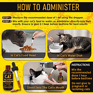 Cat Melatonin Drops 60ml Salmon Flavor, Melatonin for Cats to Sleep, Cat Calming Treats, Cat Calming Products, Cat Sleep Aid, Cat Anxiety Relief, Cat Travel Anxiety Relief for Cats