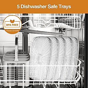 OSTBA Food Dehydrator, Dehydrator for Food and Jerky, Fruits, Herbs, Veggies, Temperature Control Electric Food Dryer Machine, 5 BPA-Free Trays Dishwasher Safe, 240W, Recipe Book Included