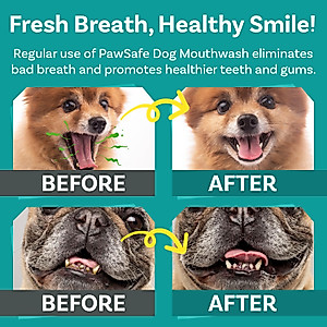 Dog Mouthwash, Dental Water Additive for Fresh Breath, Plaque & Tartar Control, Best Natural Cleaning Freshener Formula for Healthy Teeth & Gums, Advanced Easy-to-Use Oral Care Solution