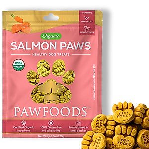 PawFoods Salmon Dog Treats - Organic Dog Treats with Salmon - Shiny Coat Healthy Skin, Omega 3 & 6, Low Calorie Dog Training Treats, Healthy Dog Treats - Approx. 60 Treats Per Bag - 170g - Made in USA