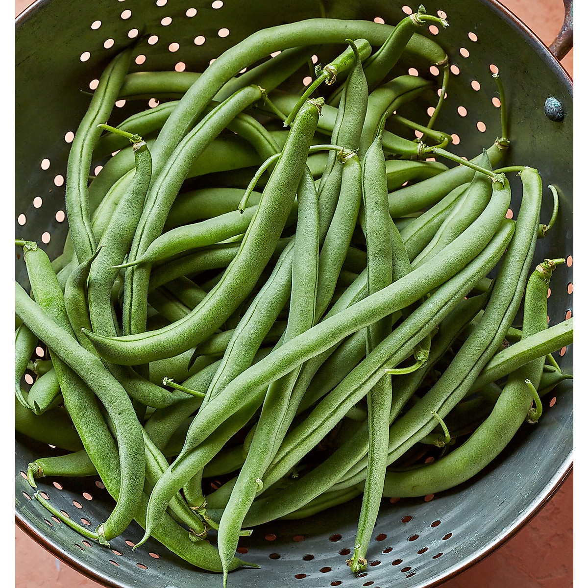 Burpee Blue Lake 47 Bush Bean Seeds 2 ounces of seed