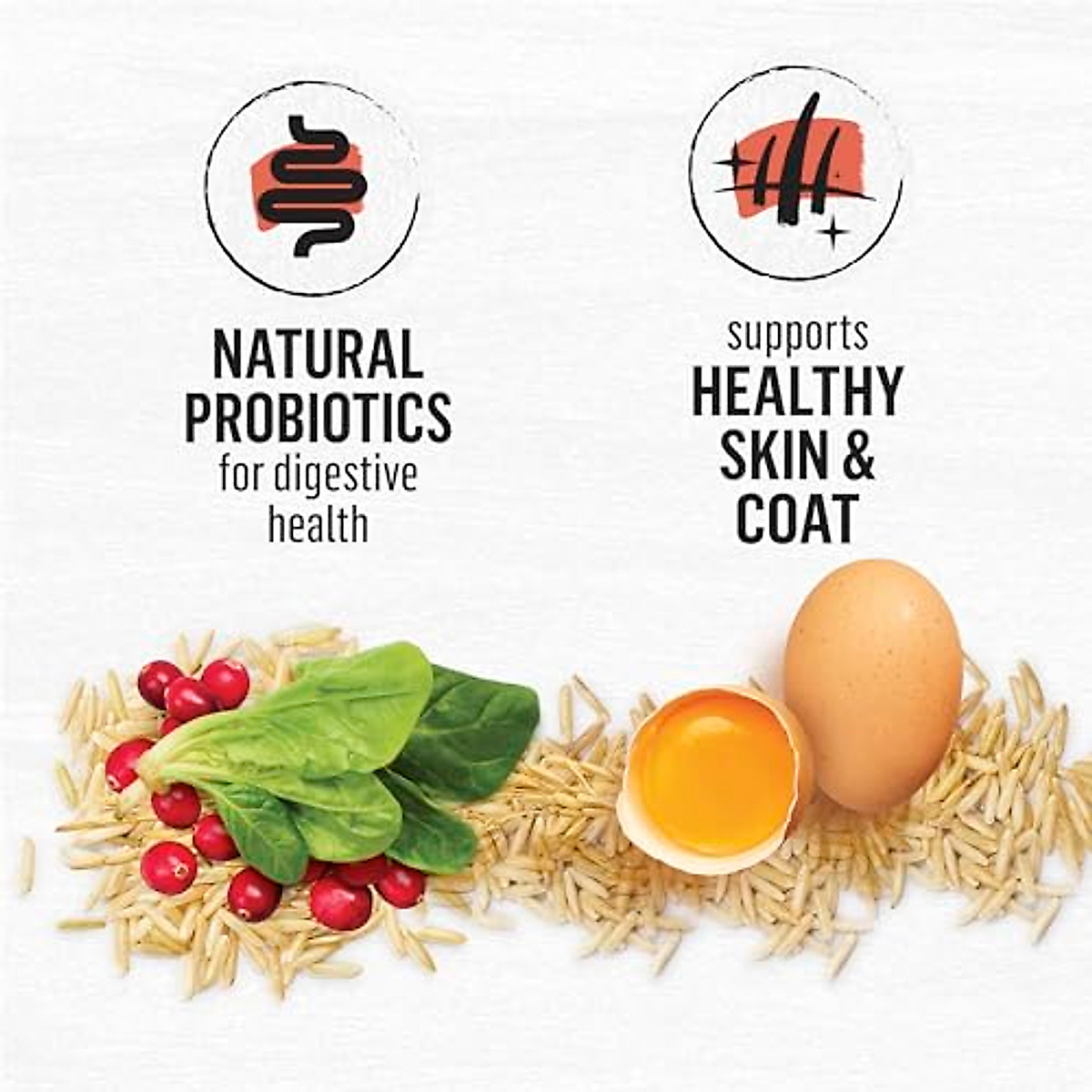 Purina Beyond Natural Wholesome Ingredients for Whole Health Dry Cat Food Salmon and Whole Brown Rice Recipe - 6 lb. Bag