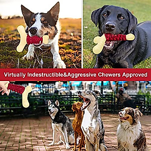 Apetpup Durable Dog Chew Toy for Aggressive Chewers, Indestructible Dog Toys, Nylon Dog Chew Toys for Small Medium Large Dogs, Vertebrae Shape Toys, Bacon Flavor