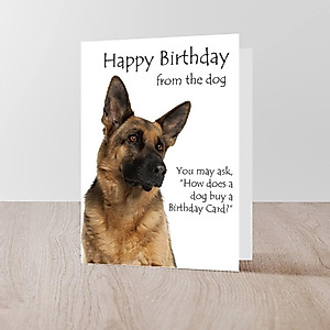 CafePress From The German Shepherd Birthday Card Folded Greeting Card Glossy