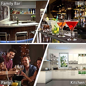 Cocktail Set 9 Piece, 25oz Bartender Kit, Bar Set with Hawthorne Strainer/Ice Tong/Measuring Jigger/Mixing Spoon/Cocktail Muddler / 2 Liquor Pourers