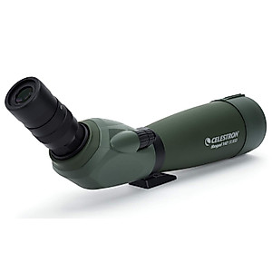 Celestron Regal M2 80ED Spotting Scope – Fully Multi-Coated Optics – Hunting Gear – ED Objective Lens for Bird Watching, Hunting and Digiscoping – Dual Focus – 20-60x Zoom Eyepiece