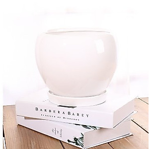 Ceramic Home/Garden Modern Flower Planter Pot with Saucer/Tray - Classic Round Apple Ball Shape White Color
