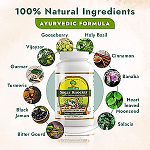 Sugar Knocker - Herbal Supplement - Pack of 1 (90 Veg Capsule)