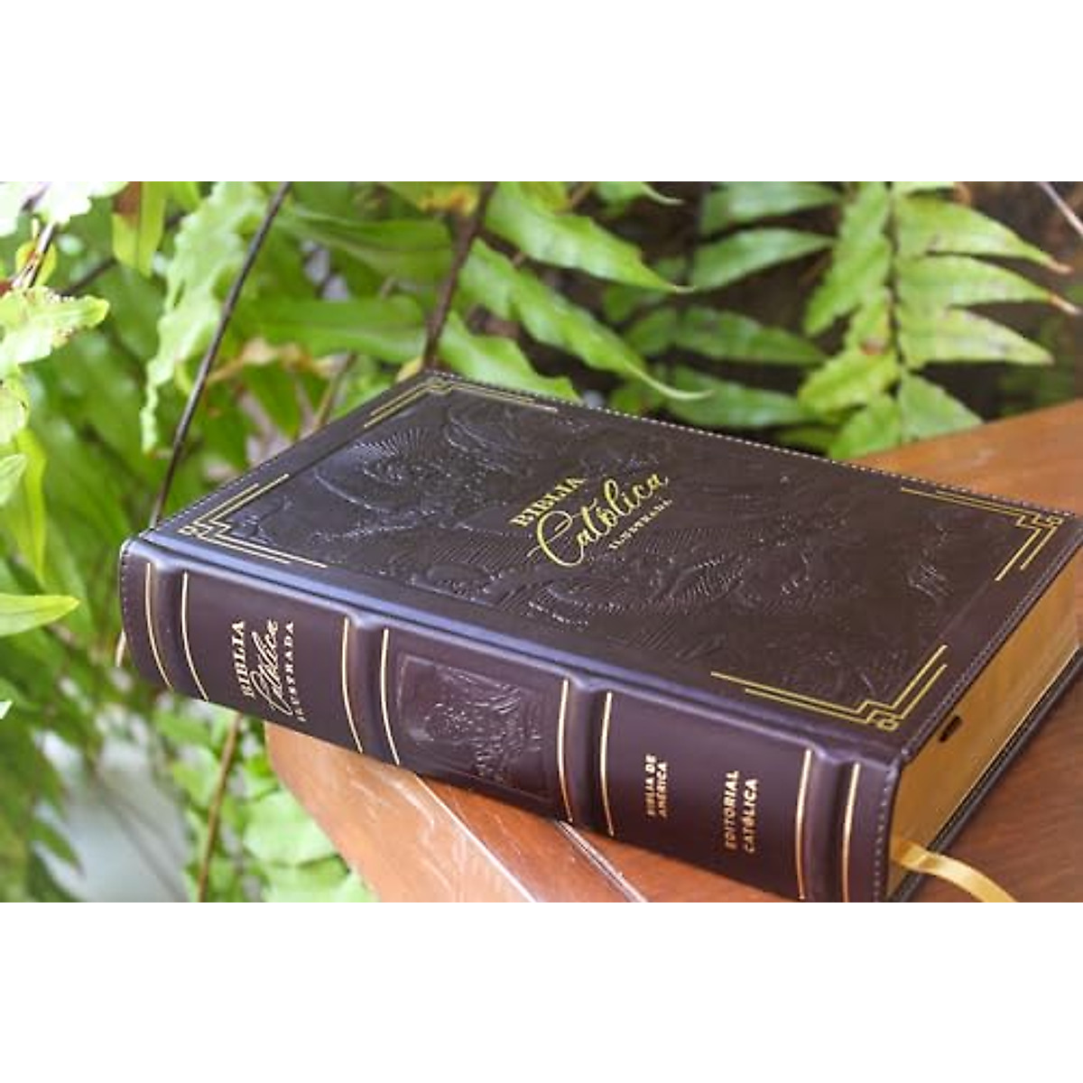 Biblia Católica, Ilustrada, Piel genuina, Café, Comfort Print (Spanish Edition)