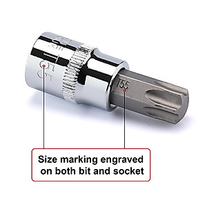 CASOMAN 34 Pieces 3/8-Inch Drive Torx Bit Socket and E-Torx (Star) Socket Set, Cr-V E Socket Set E4-20, S2 Torx Bit Socket Set T10-60, Tamper Proof Torx Bit Set TT10-TT55, 5/16"F to 3/8"M adapter