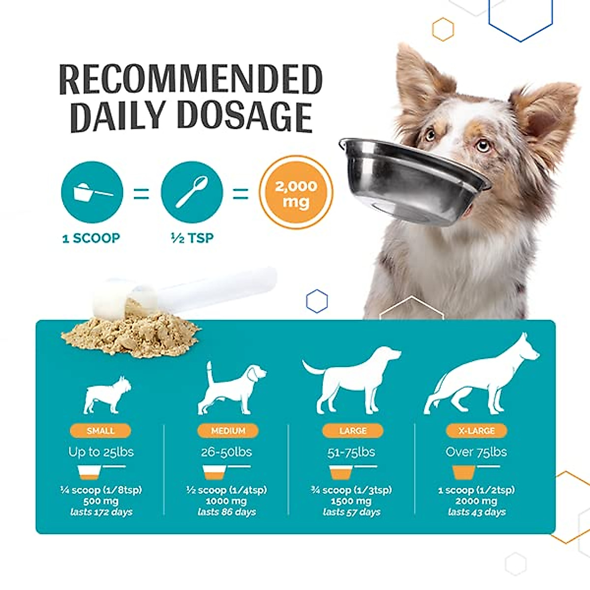 TopDog Health - Flexerna Essentials Green Lipped Mussel Powder & MSM for Dogs - Natural Dog Joint & Mobility Support - Natural Glucosamine Chondroitin + Omega-3 Fatty Acids - Anti-Inflammatory - 3 Oz