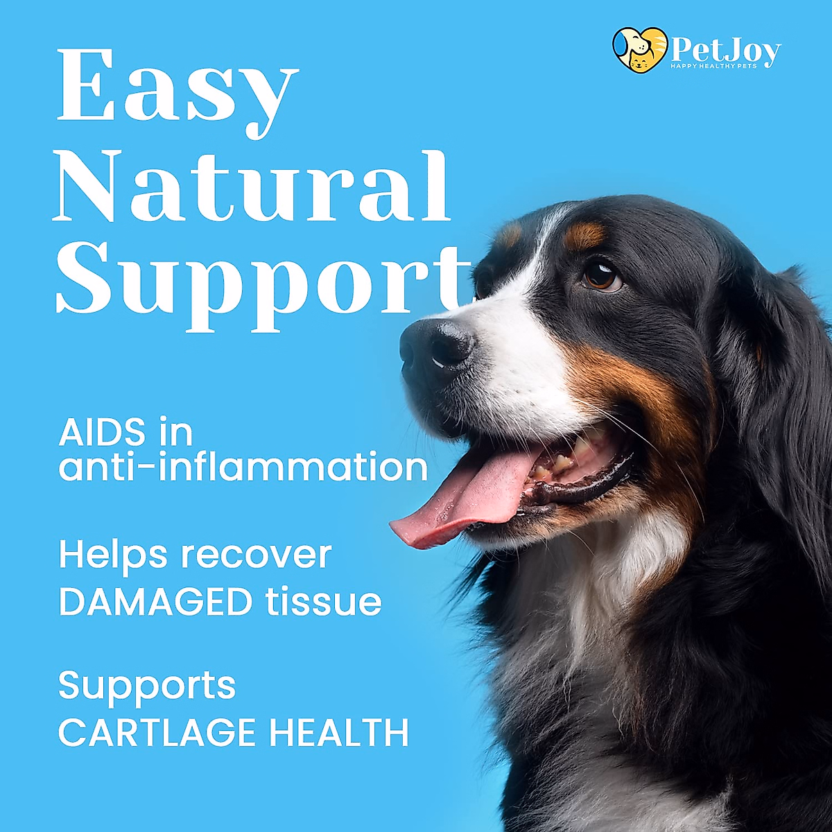 PetJoy - Move Joint Health Supplement | Maximum Strength Joint Support Plus MSM, Glucosamine, Chondroitin | Aging, Hip Dysplasia, & Arthritis Relief | Restore Hip and Joint Tissue | 60 Count Soft Chew