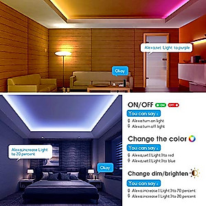 Smart WiFi RGBW LED Controller 2-Output 5 Pin with 24-Key Remote,Compatible with Alexa&Google Assistant,Voice/APP/Music Control Strip Lights for Android/iOS System,WiFi LED Controller Only(New)