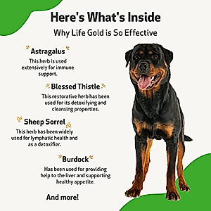 Pet Wellbeing Life Gold for Dogs - Vet-Formulated - Immune Support and Antioxidant Protection - Natural Herbal Supplement 2 oz (59 ml)
