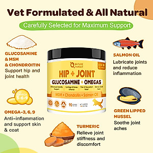 Glucosamine for Dogs - Joint Supplement for Dogs, Chondroitin, MSM, Turmeric, Omega 3 for Dogs, Support Hip and Joint Mobility - Dog Joint Pain Relief, Dog Joint Supplement Large Breed, 9.52 Oz