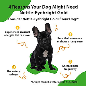 Pet Wellbeing Nettle-Eyebright Gold for Dogs - Vet-Formulated - Seasonal Allergies, Hay Fever, Allergic Rhinitis - Natural Herbal Supplement 2 oz (59 ml)