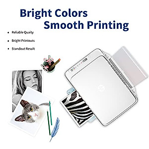 Relcolor HP65 XL Higher Yield Ink Cartridge for HP 65 65XL Black Combo for Envy 5000 5055 5052 5014 DeskJet 3755 3700 3772 3752 2622 2652 2600 Printer, HP65XL