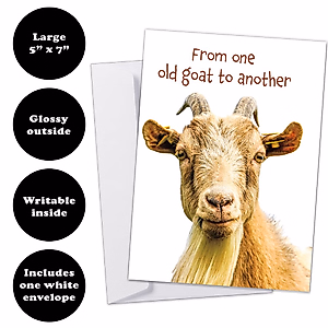 Funny Happy Birthday Card, Old Goat Birthday Card, "From One Old Goat to Another", 5"x7", each card comes with a white envelope, great for friends and family Members (1-pack)