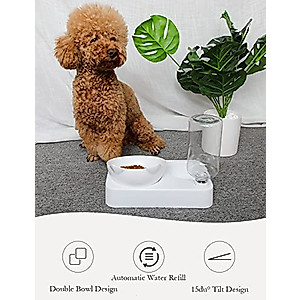 Marchul Cat Bowls, Cat Food Bowls, Cat Dog Tilted Water and Food Bowl Set, Raised Cat Bowl for Small or Medium Size Dogs Cats