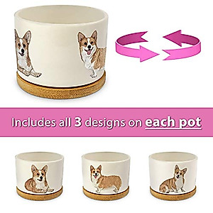 GIFTGIRL Corgi Gifts for Corgi Lovers - Our Corgi Succulent Planters Make Great Corgi Gifts for Women and are Perfect Corgi Gifts for Girls. All Corgi Lovers, Love Corgi Gifts