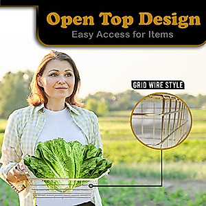 Majika 3 Gold Wire Basket Set | Storage | Decor | Crafts | Kitchen Organizing | Great for Closets | Cabinets | Pantries | Tables | Counter Tops | Office Storage | Nesting Baskets