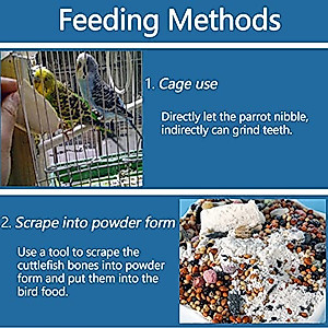 BNOSDM Bird Cuttlebone Chew Toy Cuttlefish Bones Parrot Cage Toys Bite for Cockatiels Parakeets Budgies Finches Canaries Lovebirds Small Conures Mynahs Toucans African Greys 10PCS