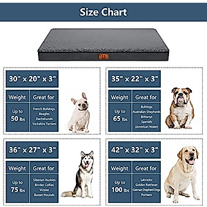 CozyLux Dog Bed for Large Dogs, Big Orthopedic Egg Crate Foam Dog Pad with Removable Washable Cover, Pet Bed Mat Suitable for Dogs Up to 65lbs (35 x 22 x 3 inch, Dark Grey)