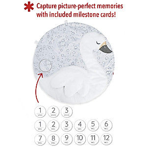Skip Hop Baby Milestone Blanket, Little Swan