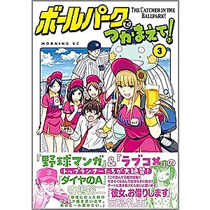 ボールパークでつかまえて!(3) (モーニング KC)