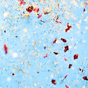 Flora & Bloom Biodegradable Confetti For 28 Guests | Dried Flowers (180g, 0.4lbs) | Wedding Confetti | Jasmine, Lavender & Rose Petals | Wedding Decorations