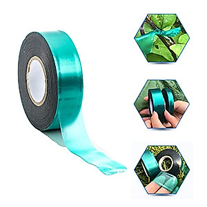 Coloch 6 Rolls Stretch Tie Tape, 150 Feet x 1" W Green Garden Tape, Thick Vinyl Stake Plant Ribbon for Branches, Climbing Planters, Flowers, Patio, Greenhouse