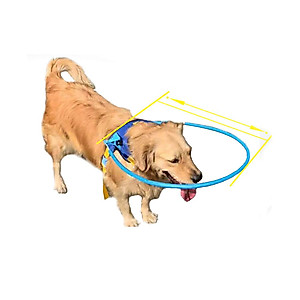 Tutuba Harness for Blind Dog, Safe Blind Dog Harness Guide Device,Protective Vest Ring for Dogs-Prevent Accidents & Build Confidence