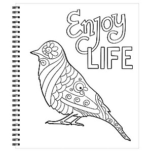 Large Print Easy Color & Frame - Calm (Stress Free Coloring Book)