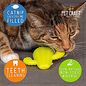 Pet Craft Supply Cactus Interactive Cat Toy Chew Toy Teeth Cleaning Bite Resistant 100% Natural Rubber with Bonus Catnip and Silvervine Bags for Kittens and Adult Cat
