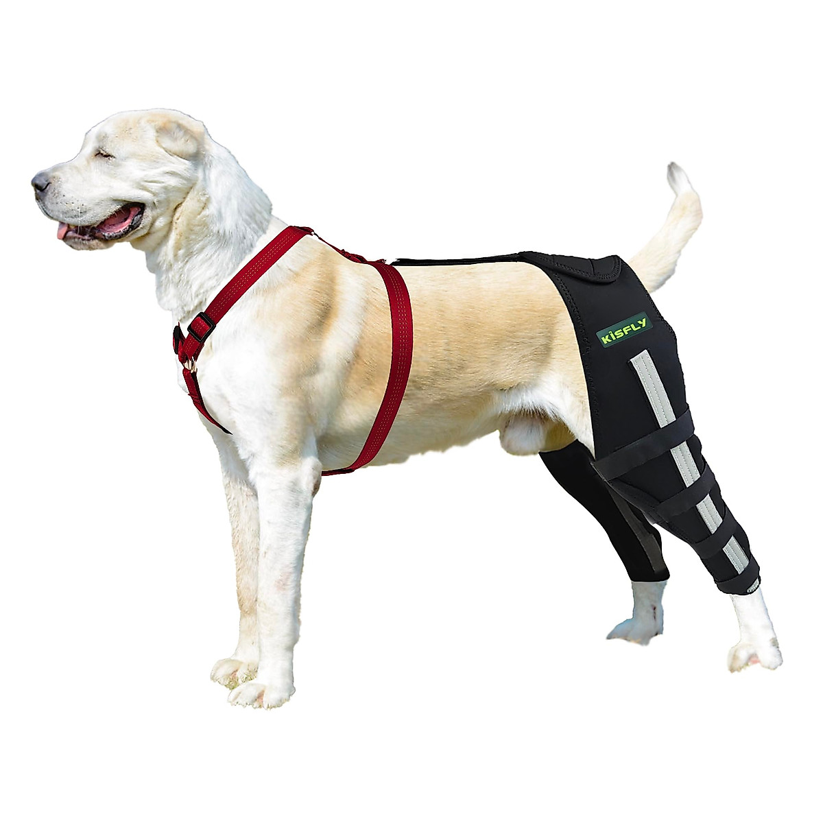 KISFLY Rear Leg Braces for Dogs Luxating Patella Joint Pain Dog Knee Brace for Torn ACL Hind Leg with Reflective Support Strip Both Legs L