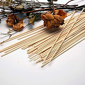 T&C 120PCS Reed Diffuser Sticks,10 Inch Natural Rattan Wood Sticks,Diffuser Refills,Essential Oil Aroma Diffuser Replacements Sticks for Home,Office (Natural Color)