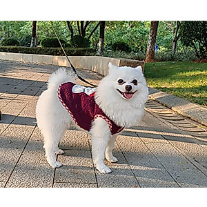 YiQ RiC Christmas Dog Clothes Dog Christmas Jacket Dog Cold Weather Coats Pet Shirts Breathable Puppy Vest Printed Christmas Snowman Reindeer Santa Claus Dog Shirts for Soft Outfit Dogs and Catst
