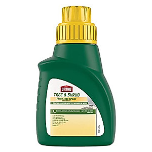 Ortho Tree & Shrub Fruit Tree Spray, 16-Ounce
