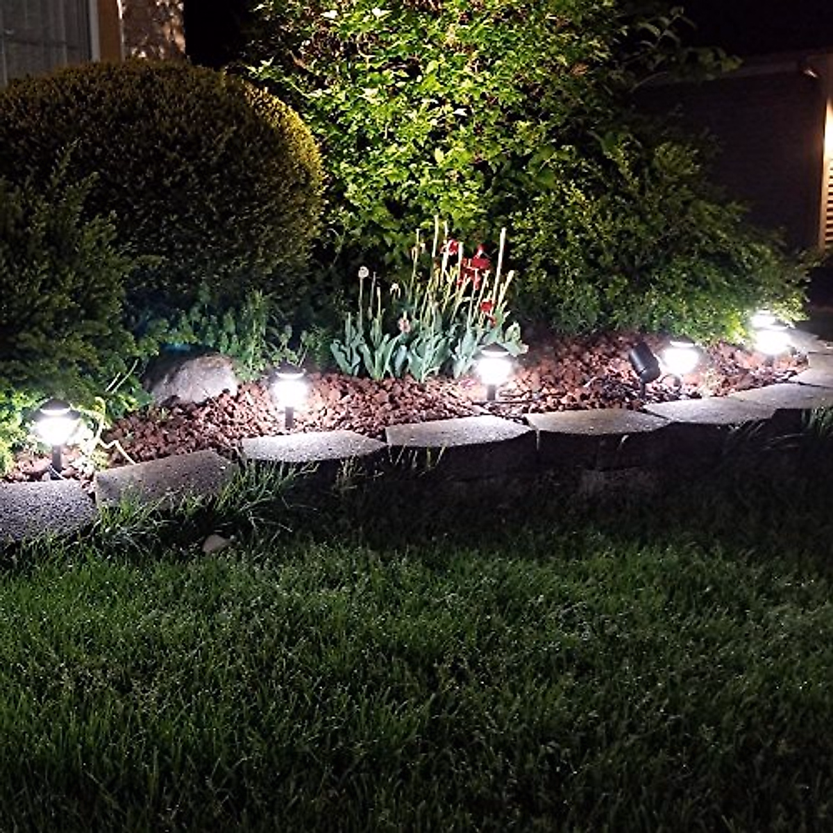 LED MR11 Light Bulbs 2W, 12V 20W Halogen Replacement, GU4 Bi-Pin Base, Daylight White 6000K (Pack of 4)