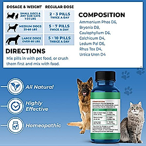 BestLife4Pets Walk-Easy Hip and Joint Supplement for Dogs & Cats - Arthritis Pain Relief and Anti-inflammatory Support Pills for Dogs & Cats Joint Pain Relief - Easy to Use Natural Pills (450 ct)