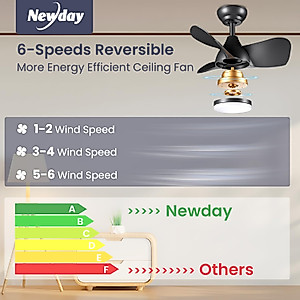 Newday Ceiling Fan with Lights Remote Control, 22 inch Quiet DC Motor Small Ceiling Fans, Dimmable Ceiling Fan for Bedroom, Kids Room, Kitchen (Black)