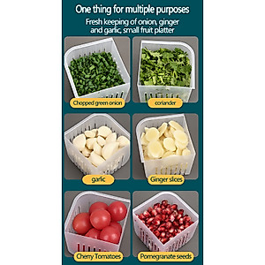 WOHSAO Storage Containers Square Handle Food Storage Organizer Boxes with Lids for Refrigerator, Food Storage Box, Food Storage Containers with Lids, Four-Grid Containers for Ginger Slice
