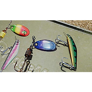 The Catch: Carp & Coarse - Collector's Edition (PS4)